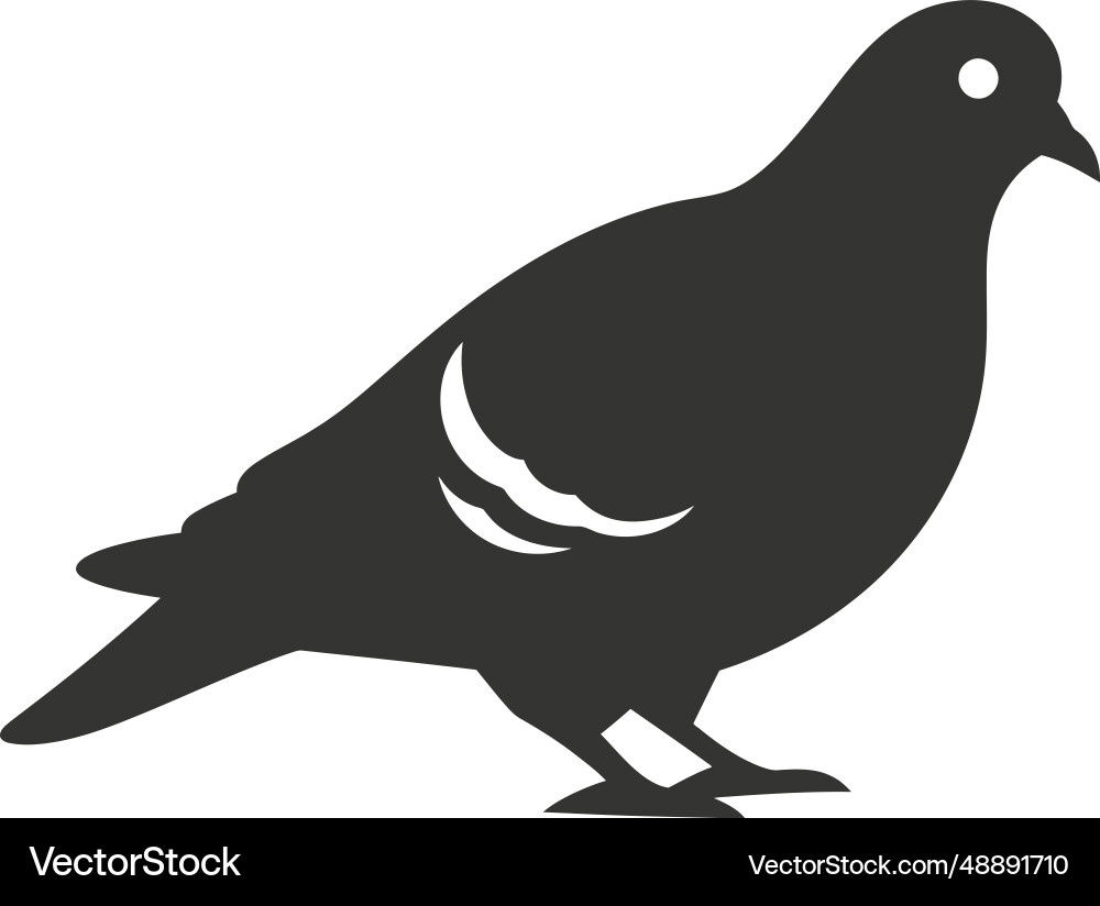 Pigeon Icon Lizenzfreies Vektorbild - VectorStock