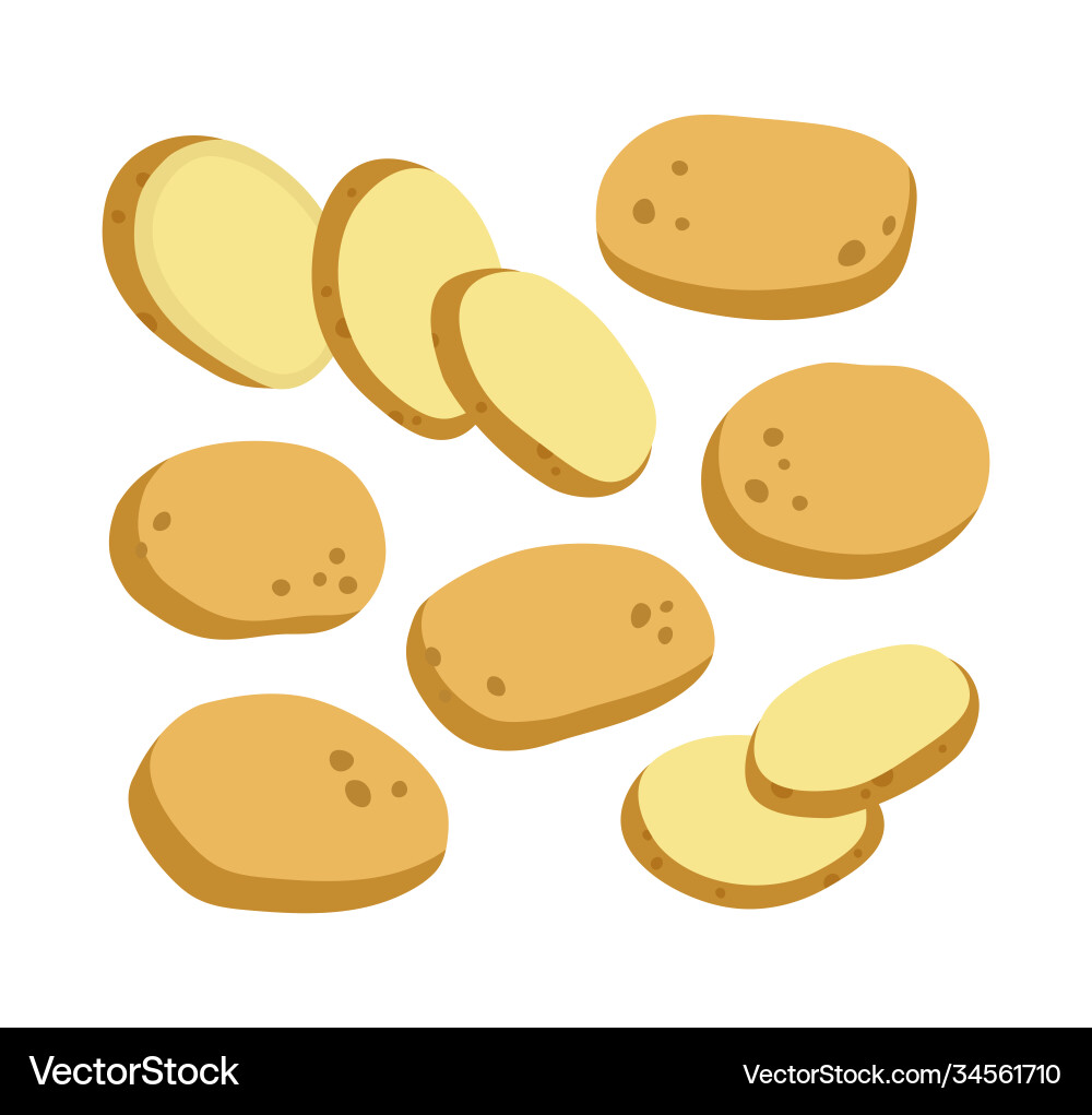 Potato and sliced Royalty Free Vector Image - VectorStock
