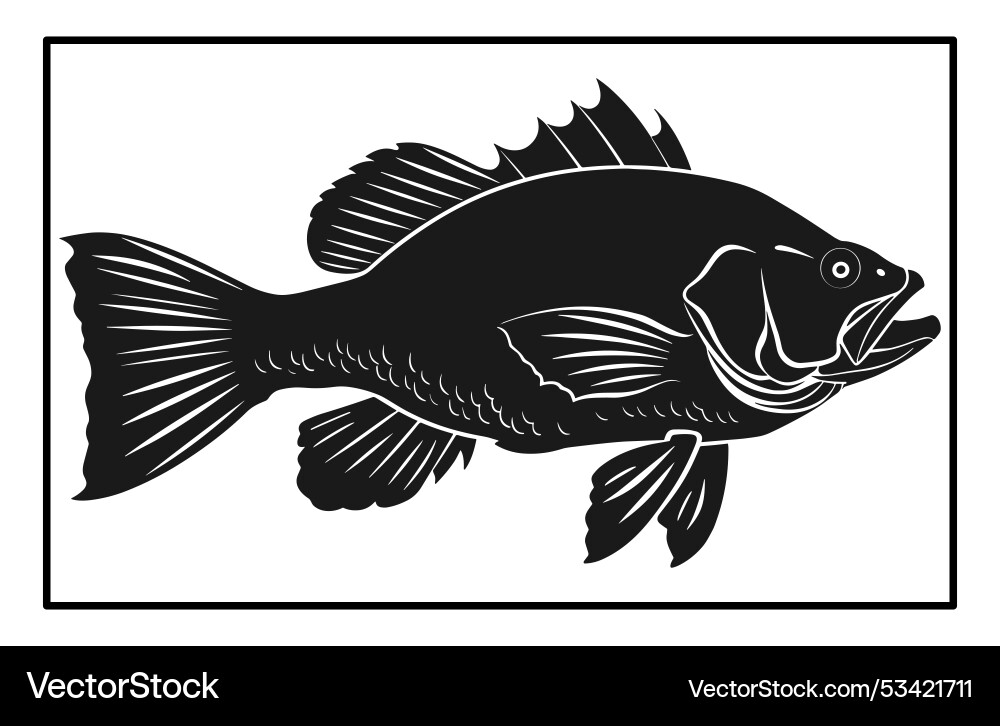 Barramundi fish silhouette Royalty Free Vector Image