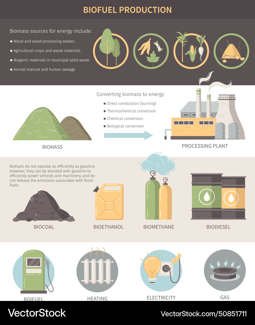 Biofuel production infographics layout Royalty Free Vector