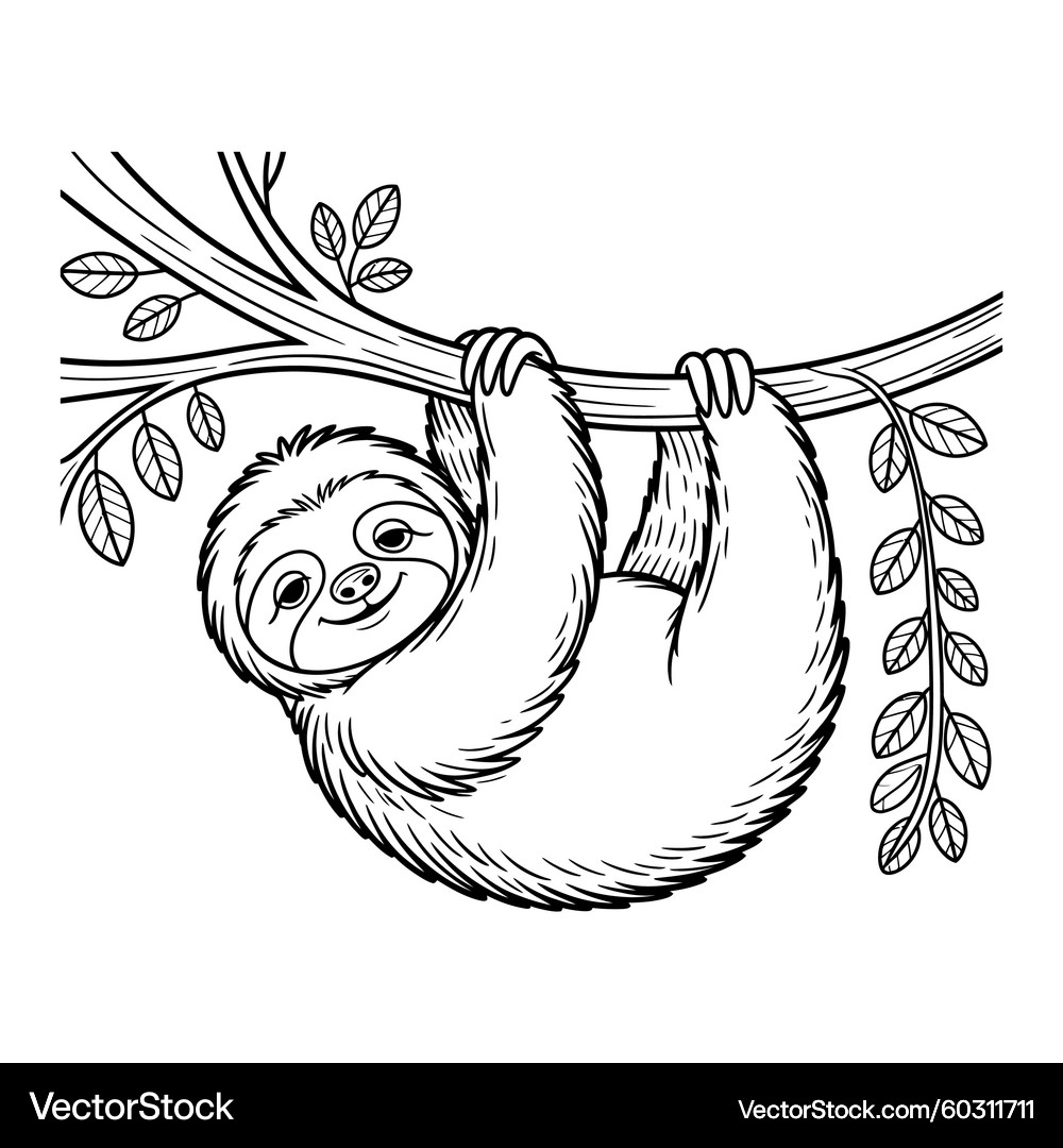 Cute Sloth Hanging in Trees Royalty Free Vector Image