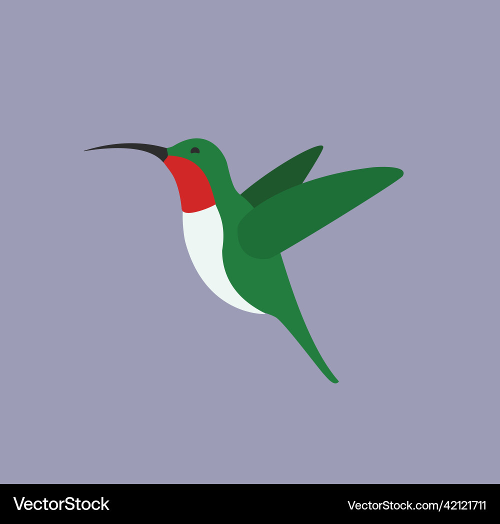 Hummingbird Royalty Free Vector Image - VectorStock
