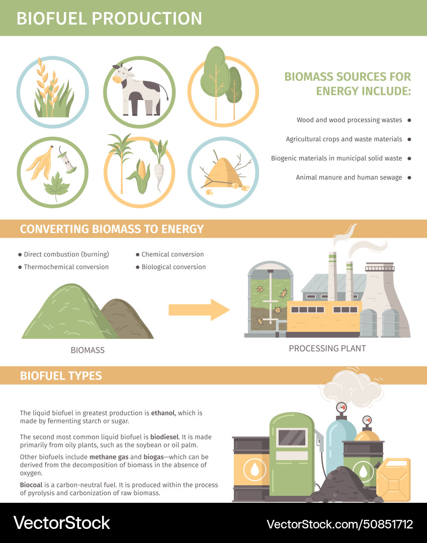 Biofuel production infographics template Vector Image