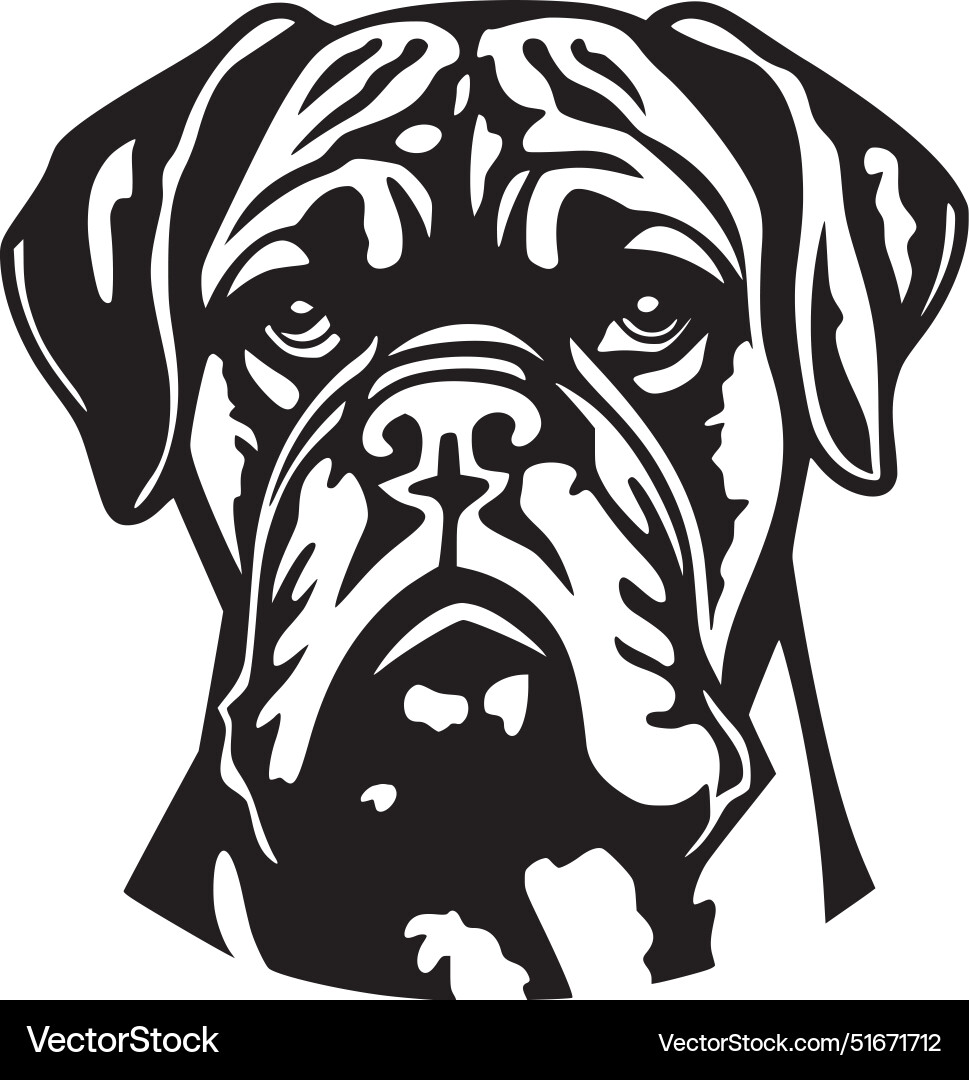 Boxer - minimalist and flat logo Royalty Free Vector Image