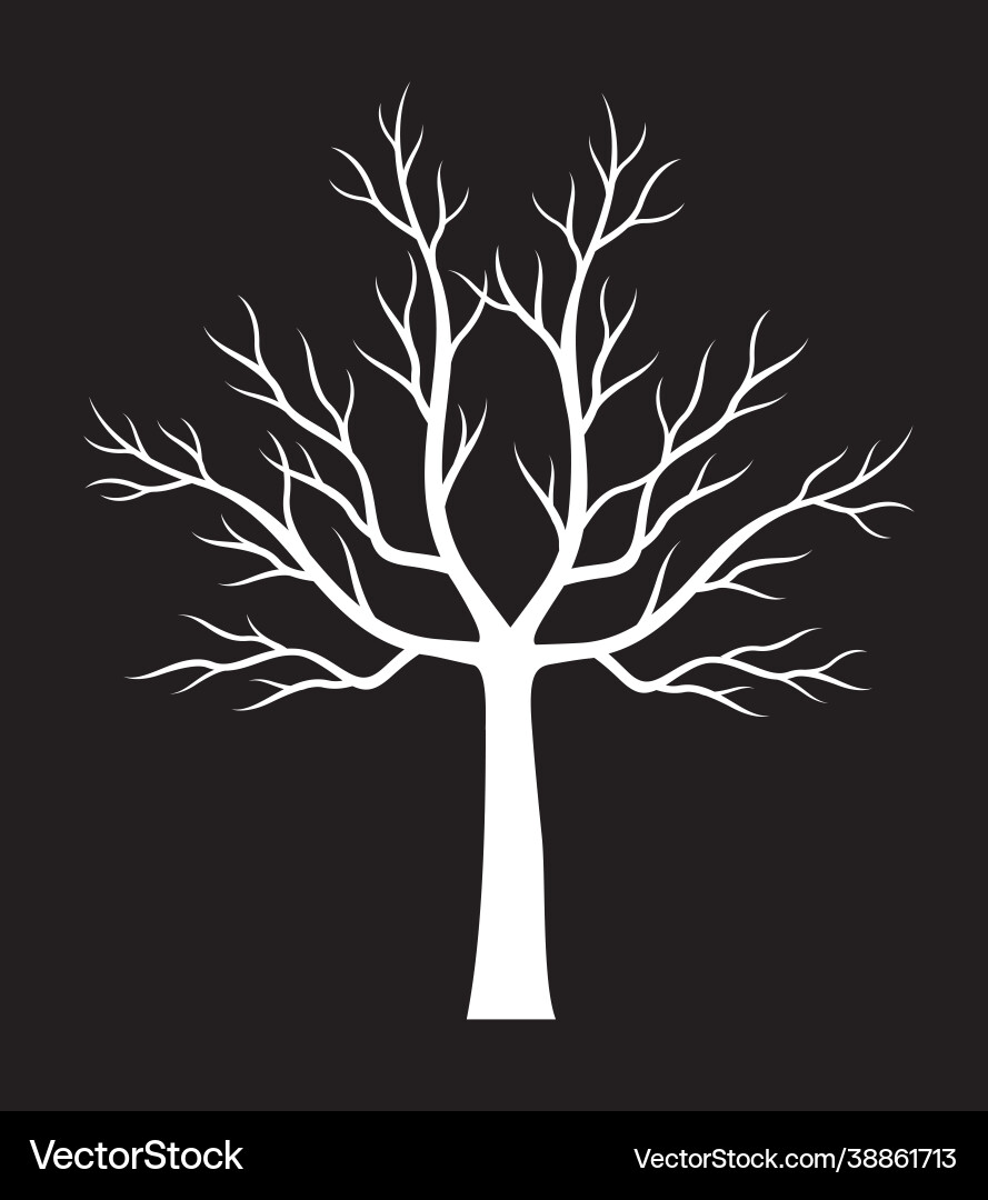 Tree Black And White Outline Simple Black And White Line Drawing Of A
