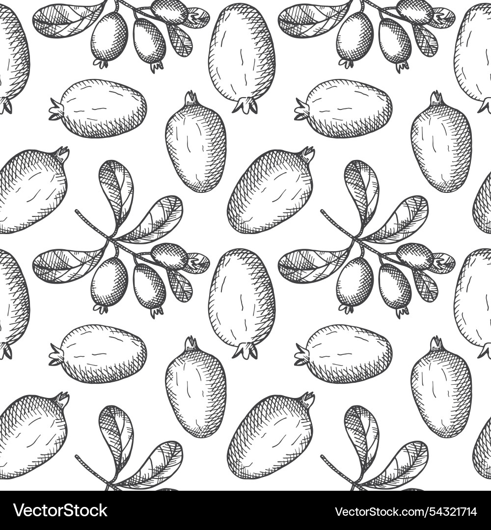 Engraved seamless pattern with feijoa plants Vector Image
