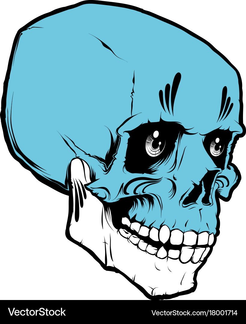 Voodoo skull Royalty Free Vector Image - VectorStock