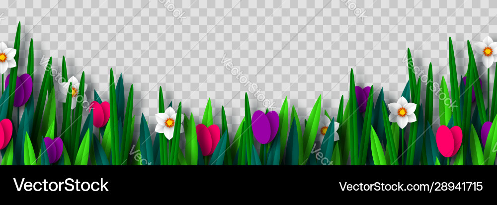 Spring flower border Royalty Free Vector Image