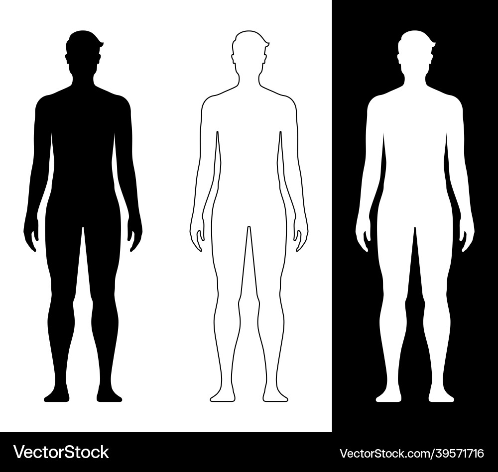 Male body shape isolated on a background Vector Image