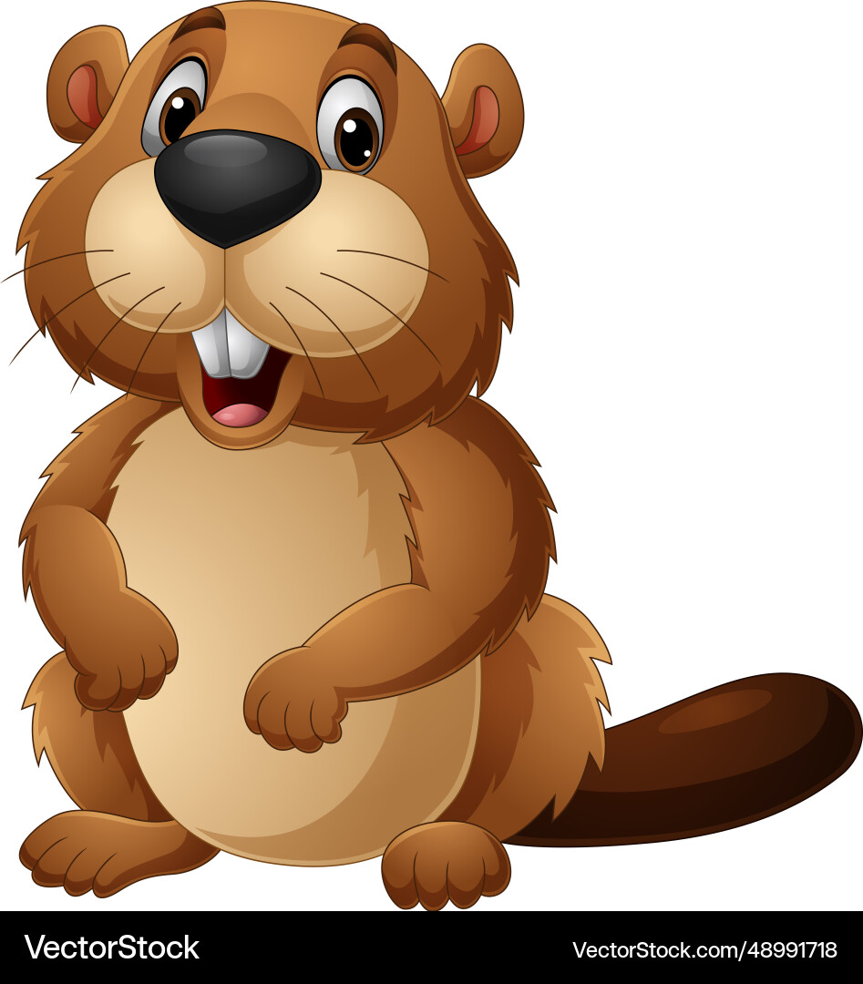 Groundhog Eyes Vector Images (37)