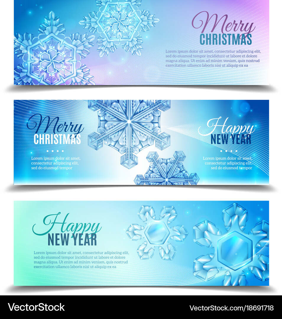 Realistic snowflake banner set Royalty Free Vector Image