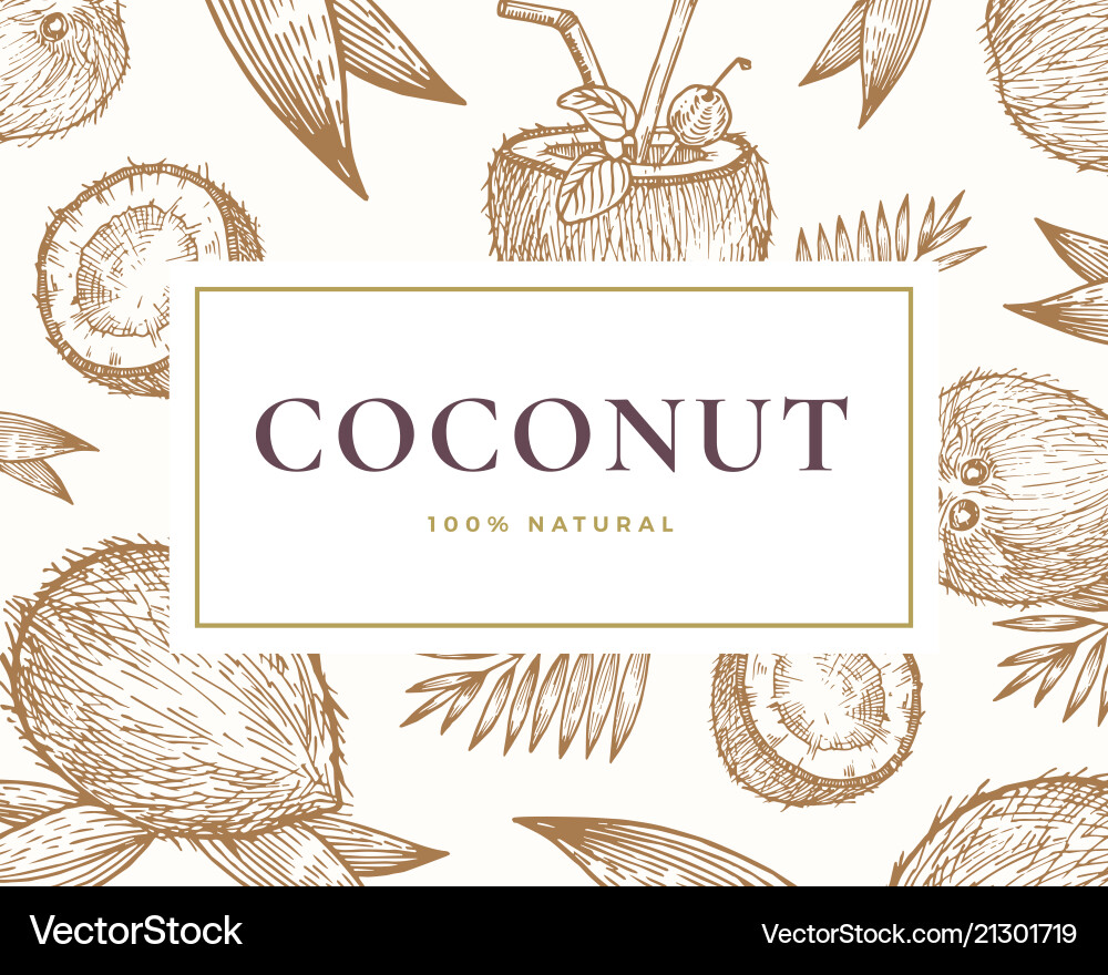 Hand drawn coconut card abstract Royalty Free Vector Image