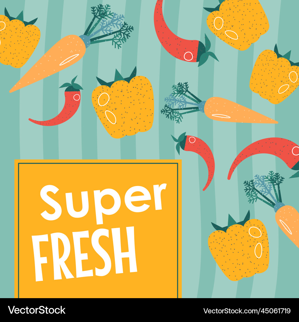 Super fresh vegetables chili and bell pepper Vector Image