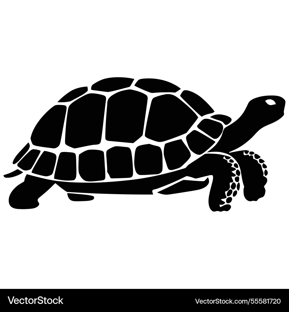 Crisp and bold turtle artwork Royalty Free Vector Image