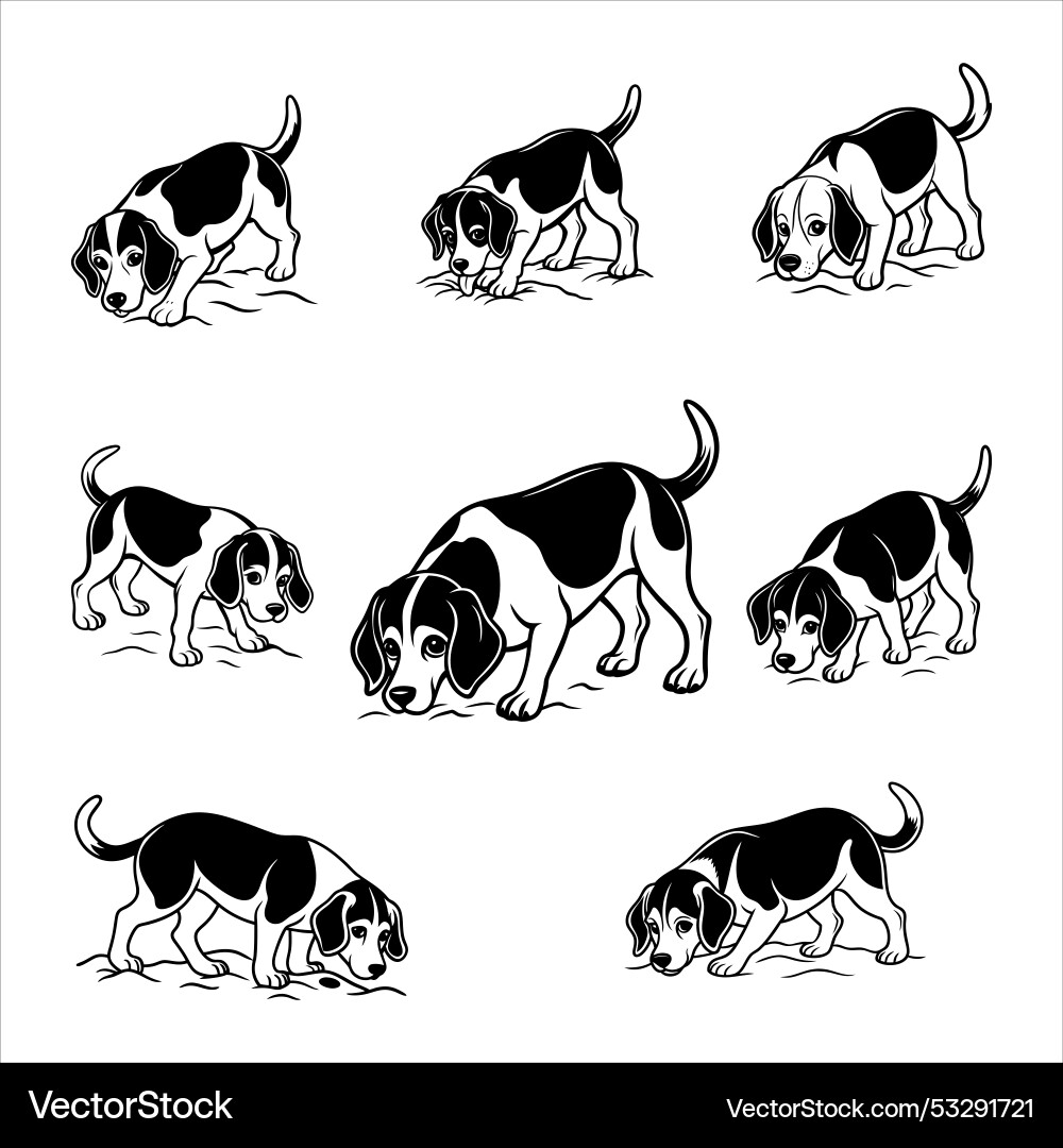 Beagle digging svg Royalty Free Vector Image - VectorStock