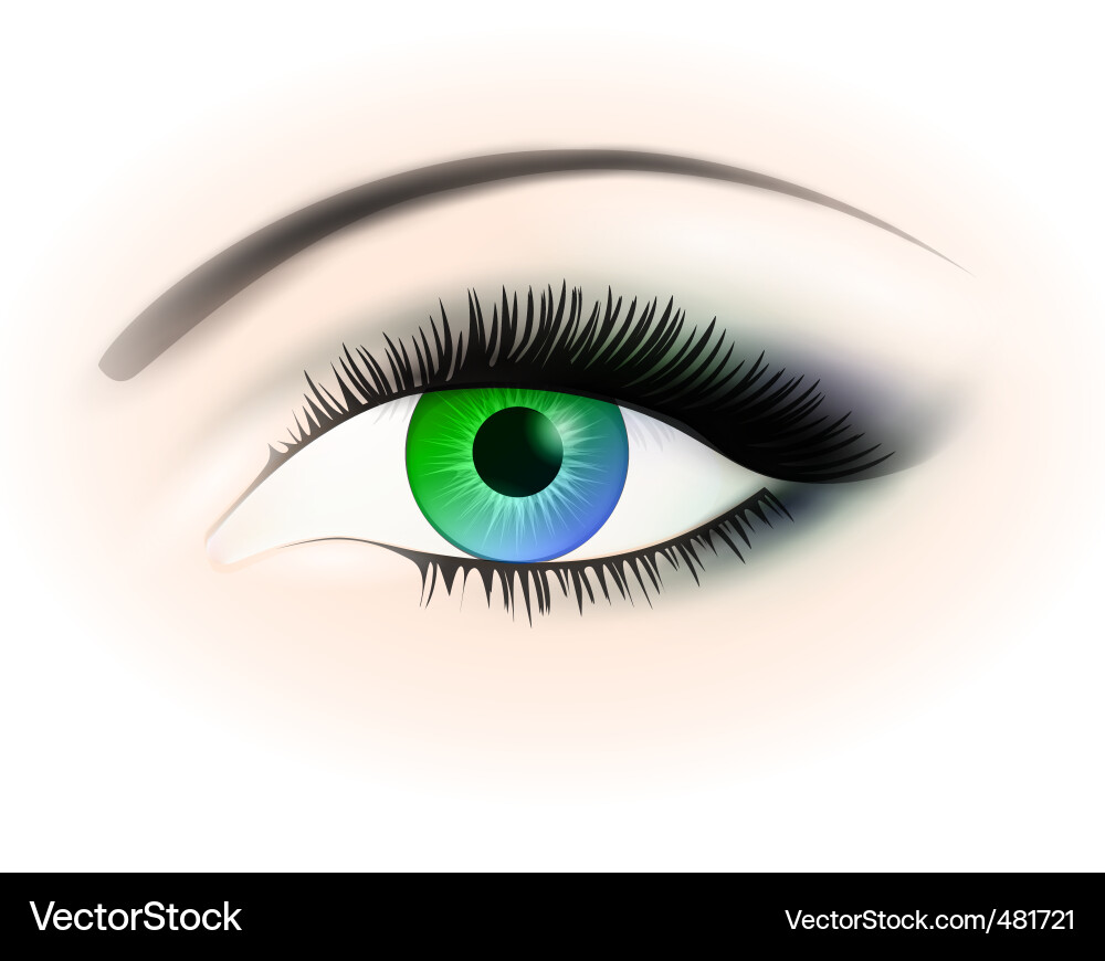 Eye Royalty Free Vector Image - VectorStock