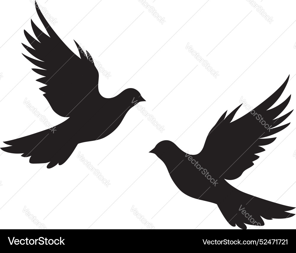 Feathered unity dove pair emblem eternal elegance Vector Image