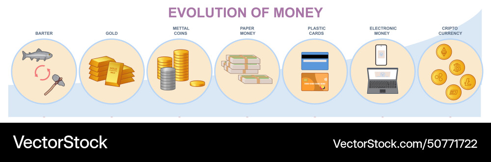 Evolution of money Royalty Free Vector Image - VectorStock