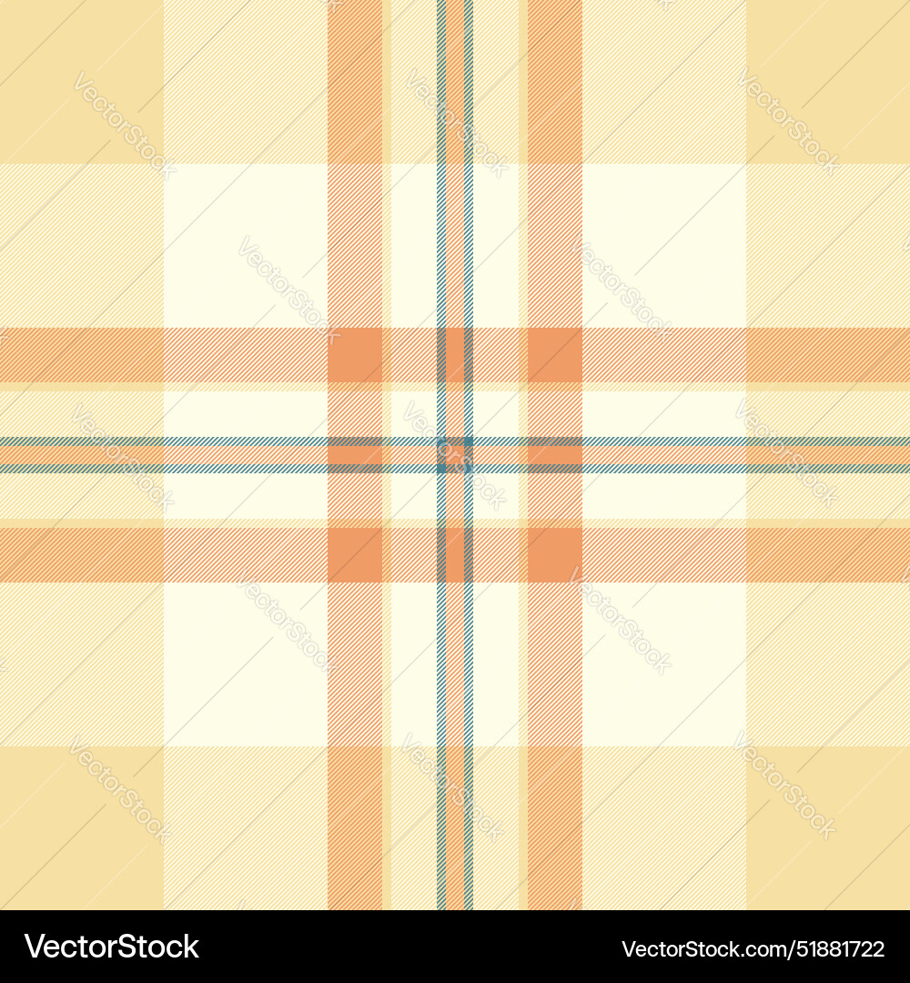 Turkish seamless plaid pattern warp check tartan Vector Image