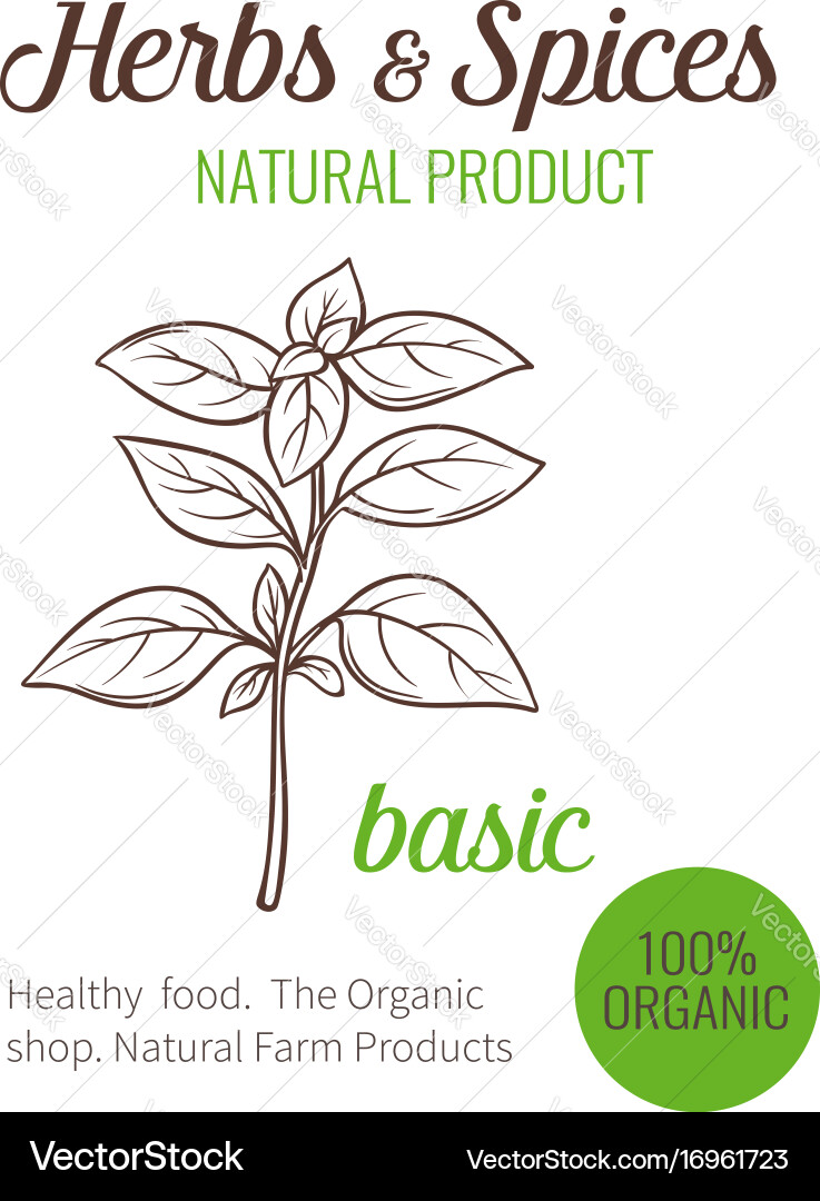 Hand drawn basic Royalty Free Vector Image - VectorStock