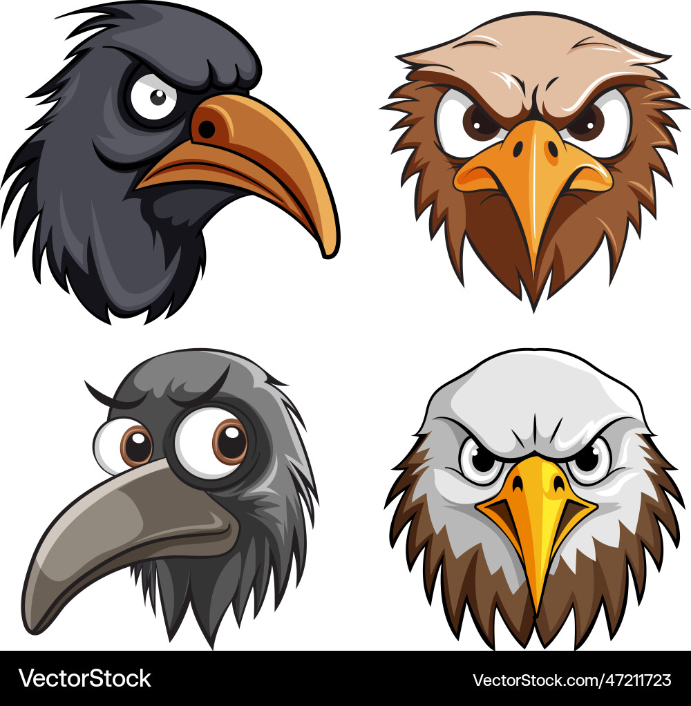 Set of bird face Royalty Free Vector Image - VectorStock