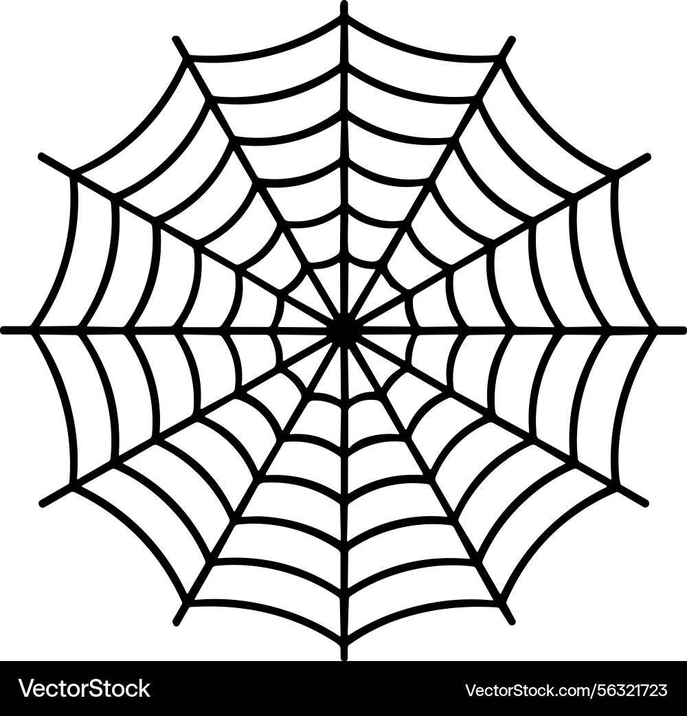 Symmetrical spider web line art halloween cobweb Vector Image