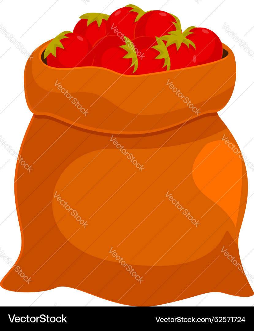 Full burlap sack overflowing with freshly picked Vector Image