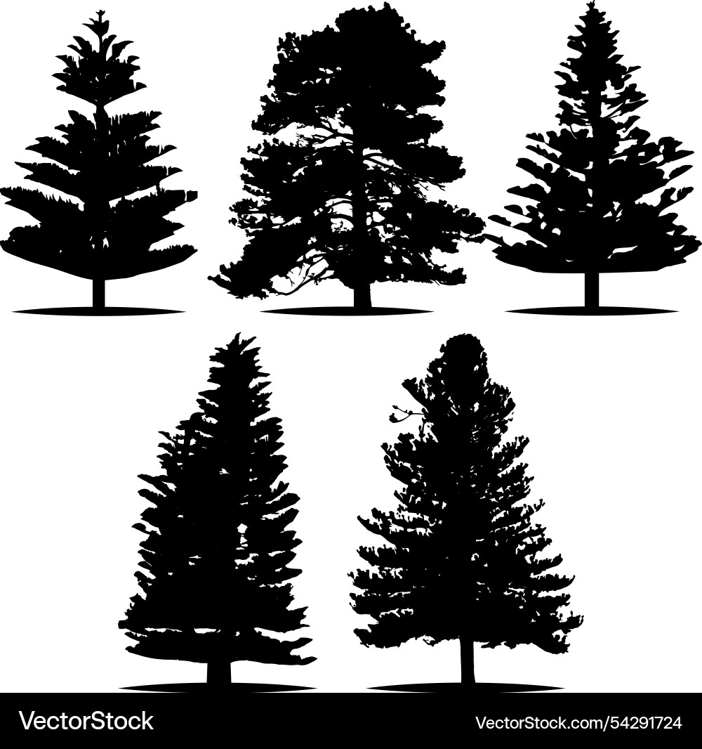 Set of pine tree silhouettes Royalty Free Vector Image