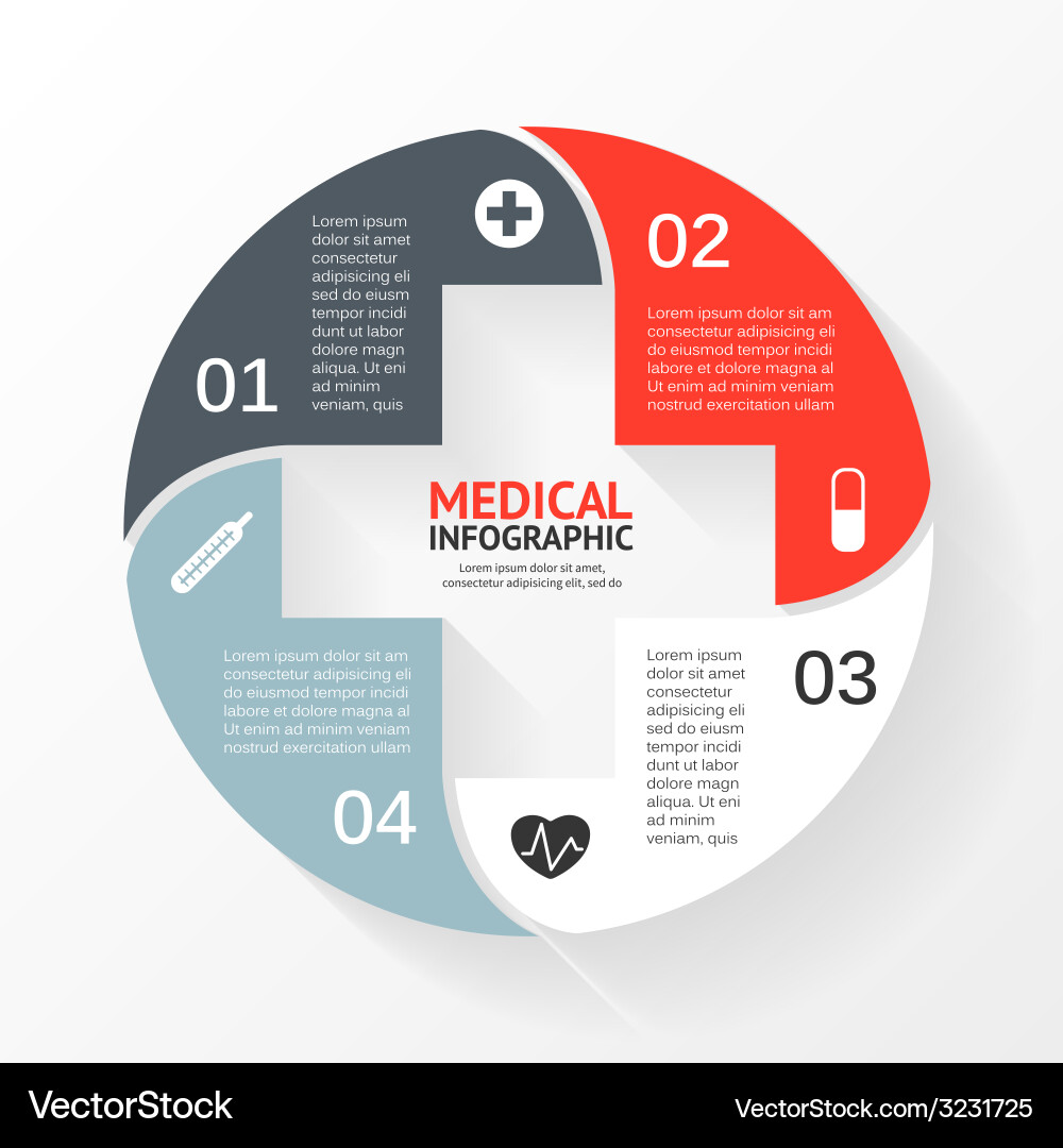 Circle plus sign infographic template for diagram Vector Image