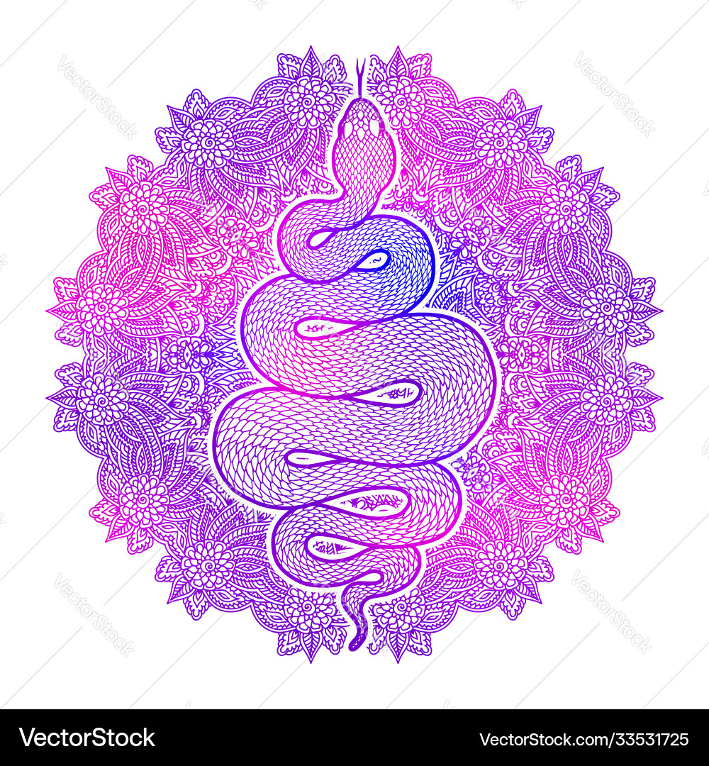 Coiled snake detailed Royalty Free Vector Image