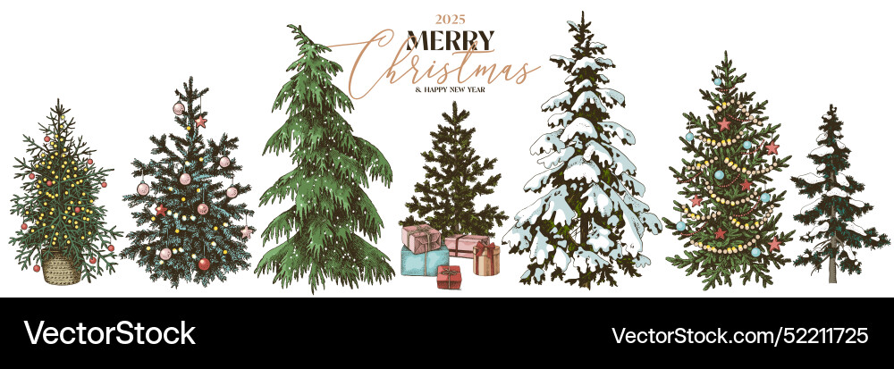 Hand-Drawn Christmas Trees Set Royalty Free Vector Image