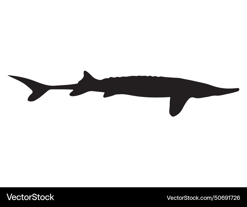 Sturgeon fish silhouette art Royalty Free Vector Image