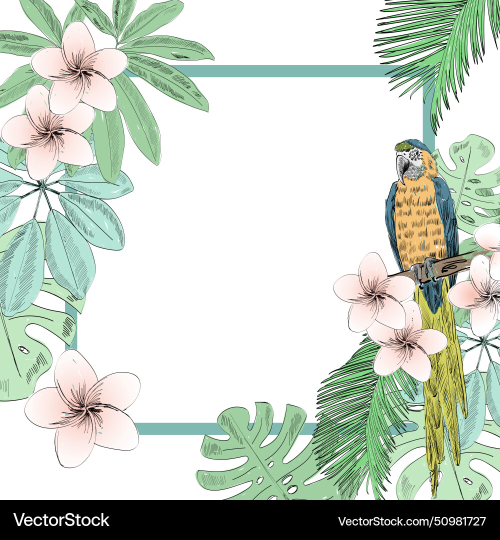 Tropical Royalty Free Vector Image - VectorStock
