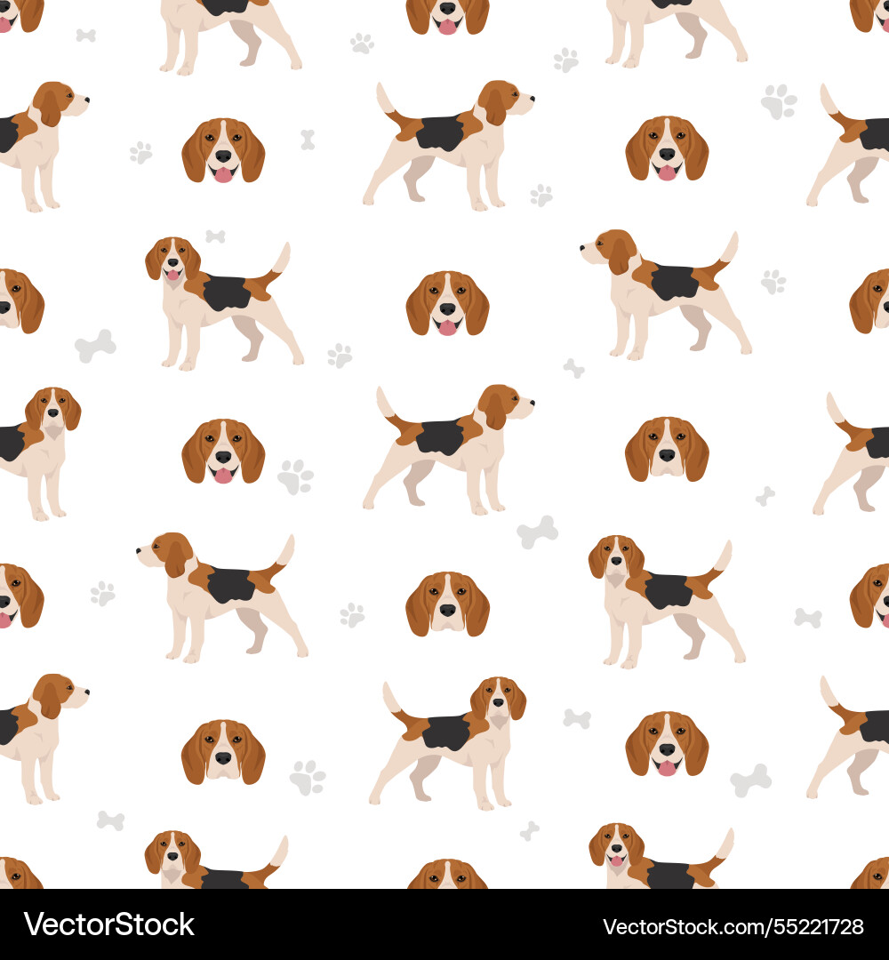 Beagle dog dog seamless pattern all coat colors Vector Image