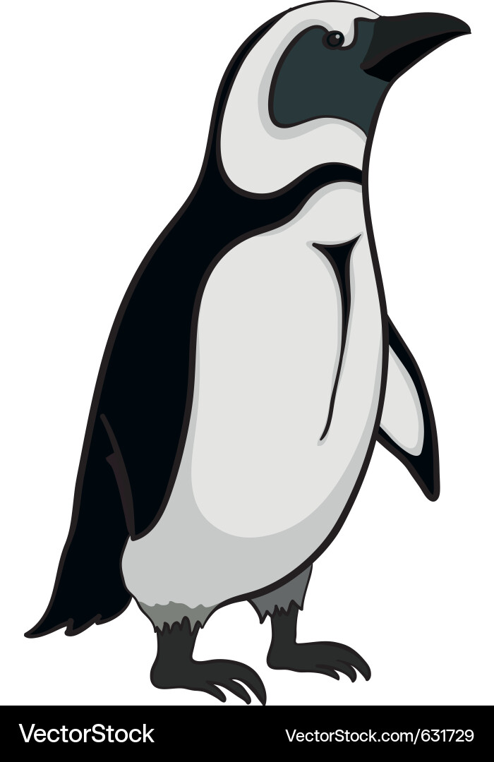 Emperor penguin Royalty Free Vector Image - VectorStock