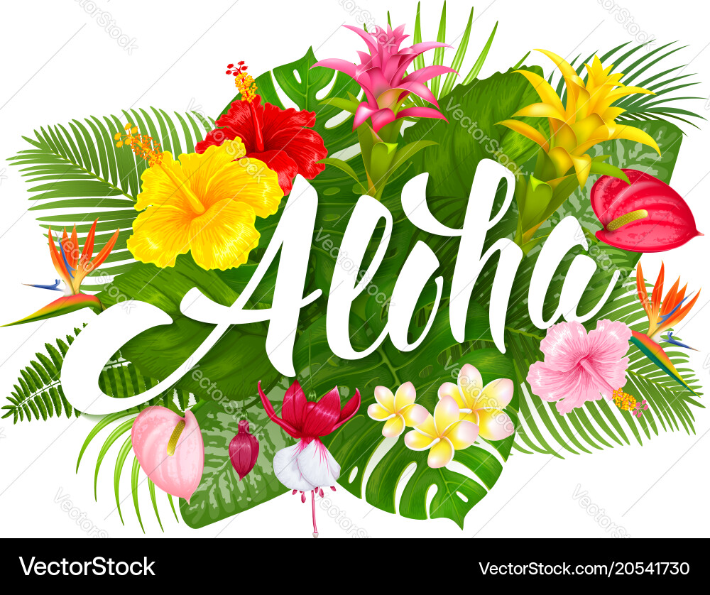 Aloha hawaii lettering and tropical plants Vector Image