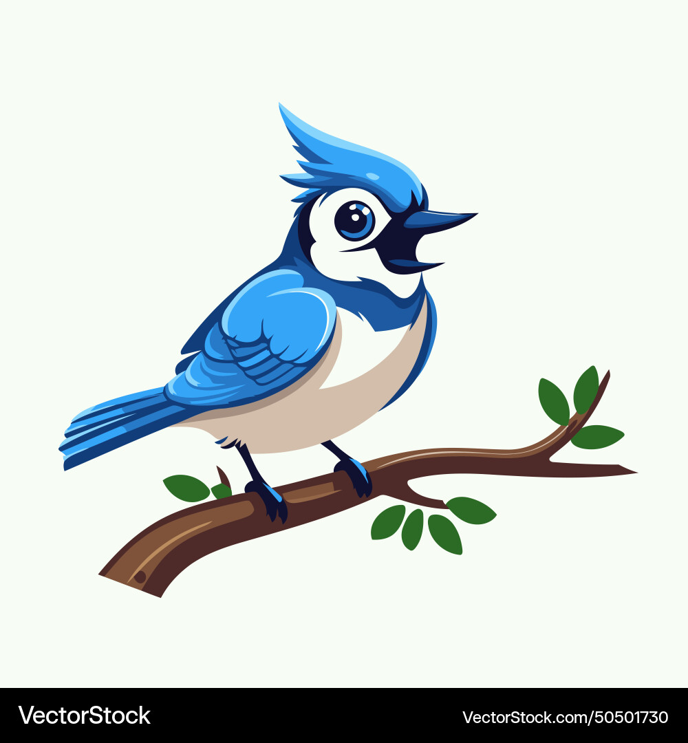 Blue jay bird on a branch isolated white Vector Image