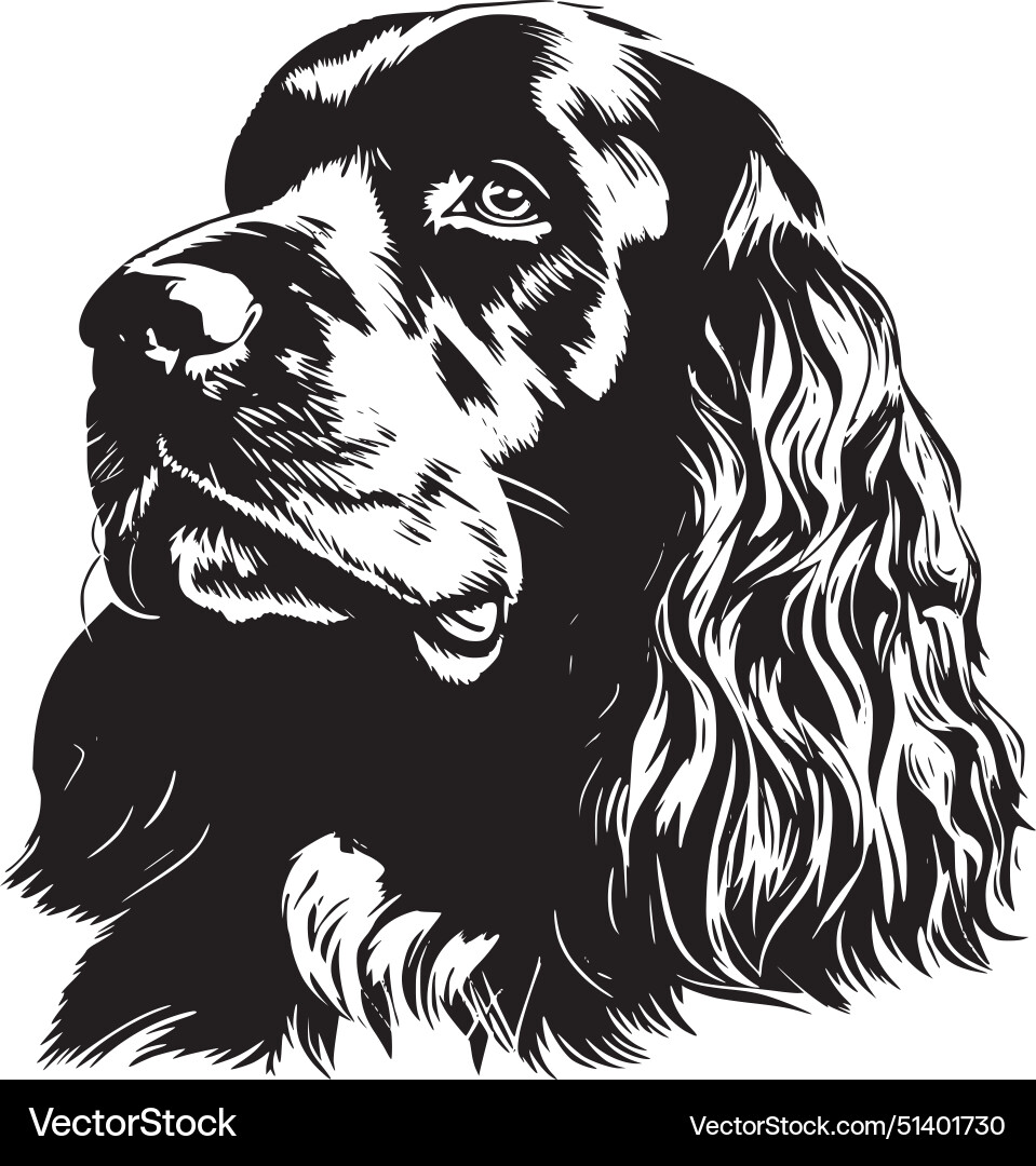 Cocker spaniel - minimalist and flat logo Vector Image