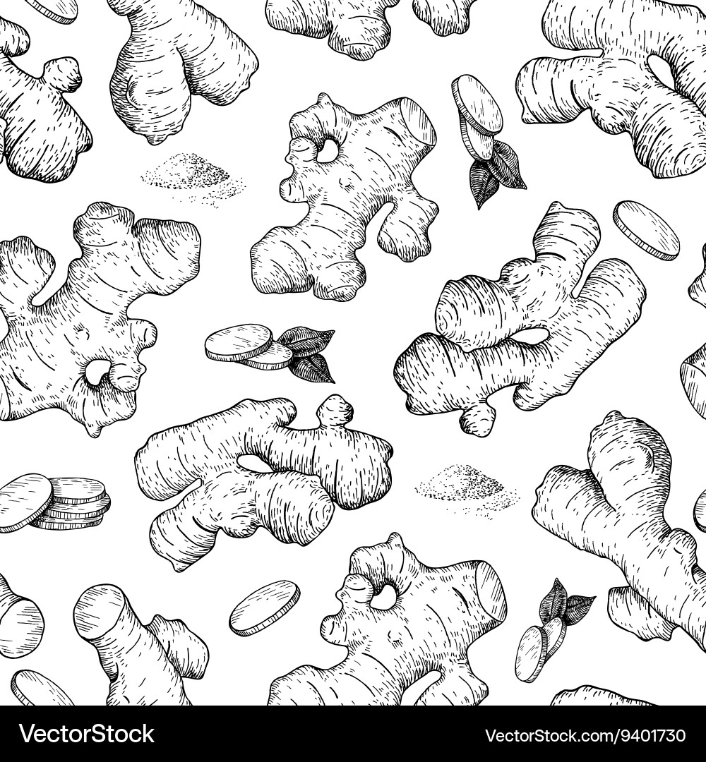 Hand drawn ginger seamless pattern Royalty Free Vector Image