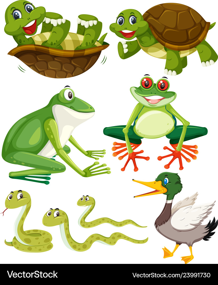 Set of green animals Royalty Free Vector Image
