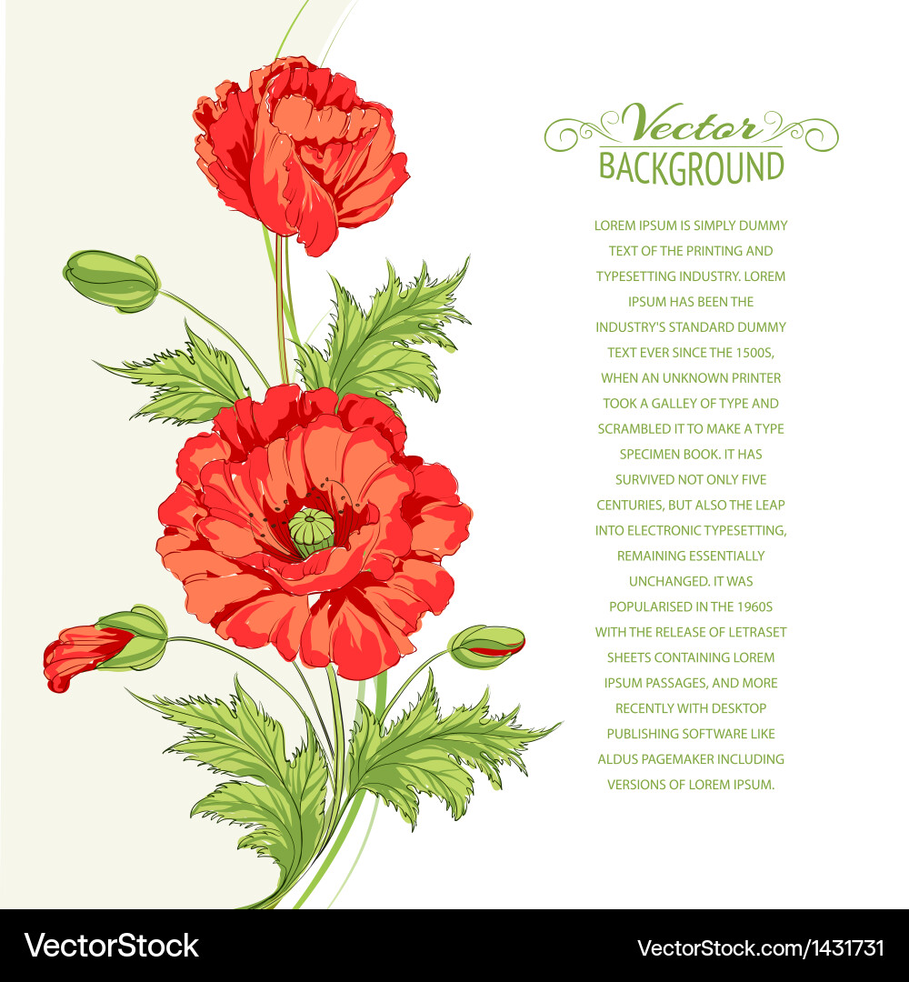 Background with poppies Royalty Free Vector Image