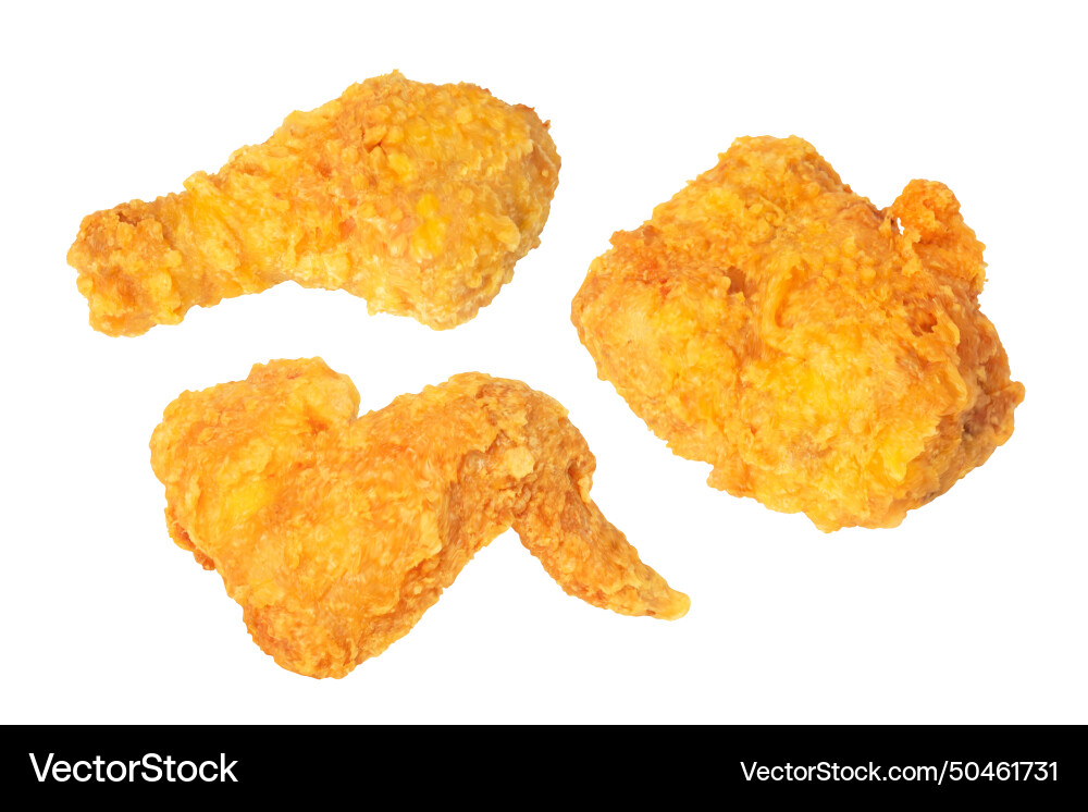 Delicious crispy fried chicken Royalty Free Vector Image