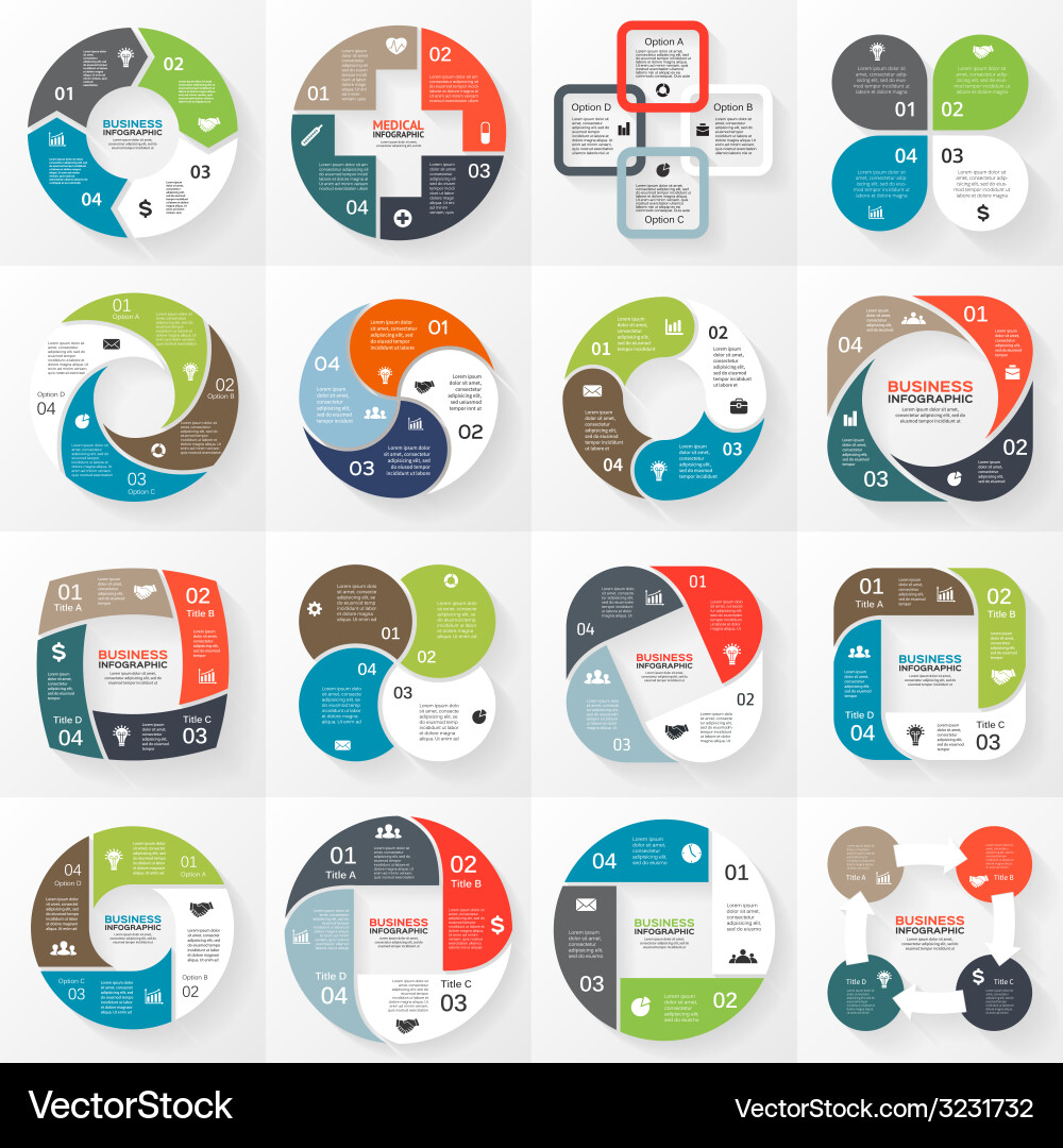 Circle infographic template for diagram graph Vector Image