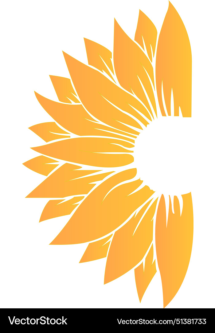 Sunflower petals Royalty Free Vector Image - VectorStock