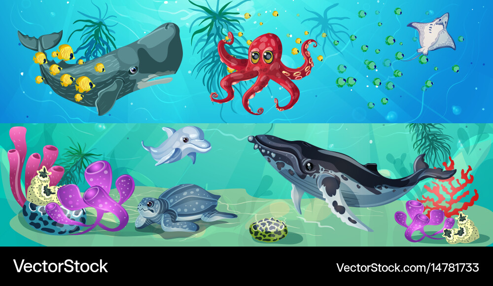 Underwater Marine Life Banner Royalty Free Vector Image