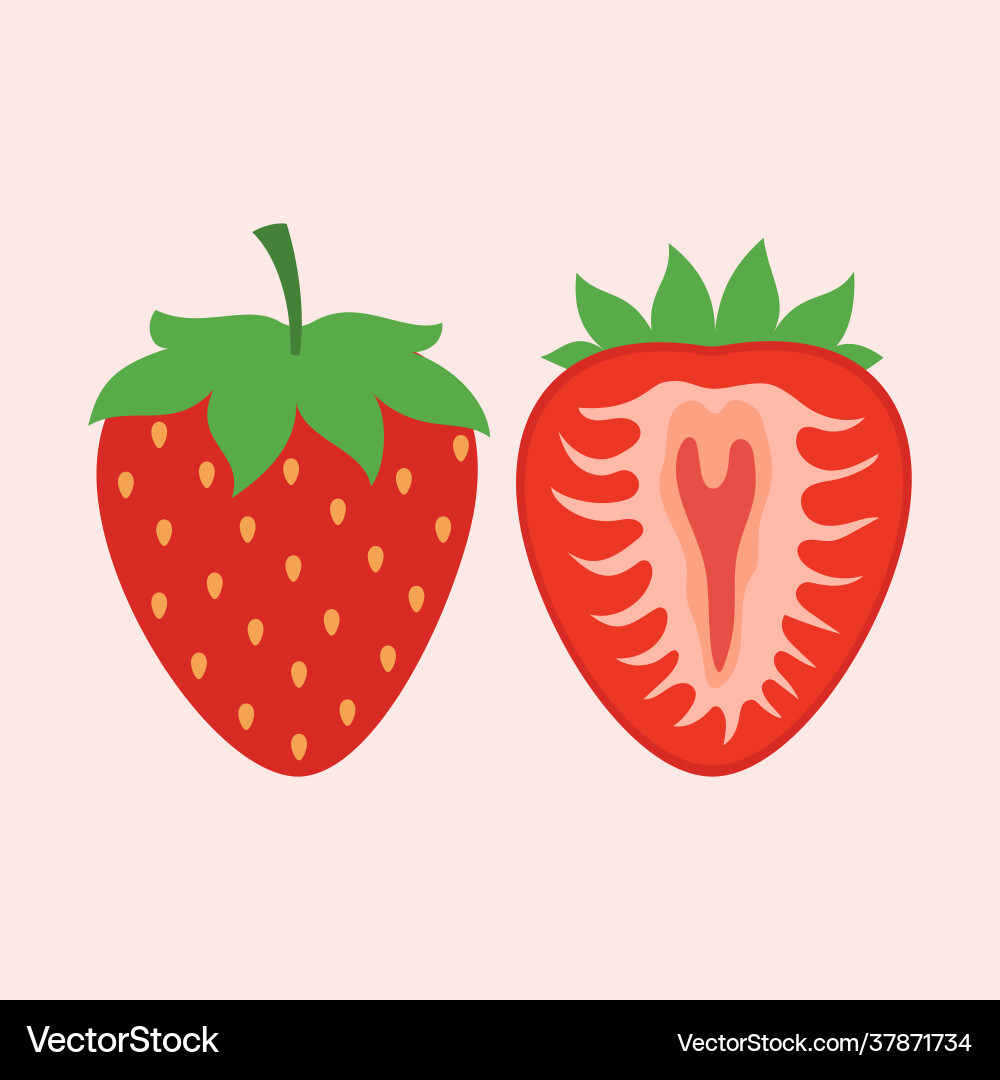 Set with cartoon whole and half strawberry Vector Image