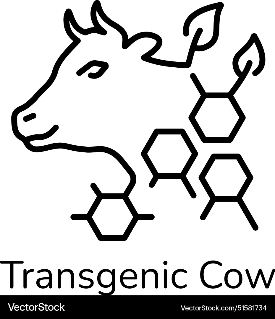 Transgenic cow Royalty Free Vector Image - VectorStock