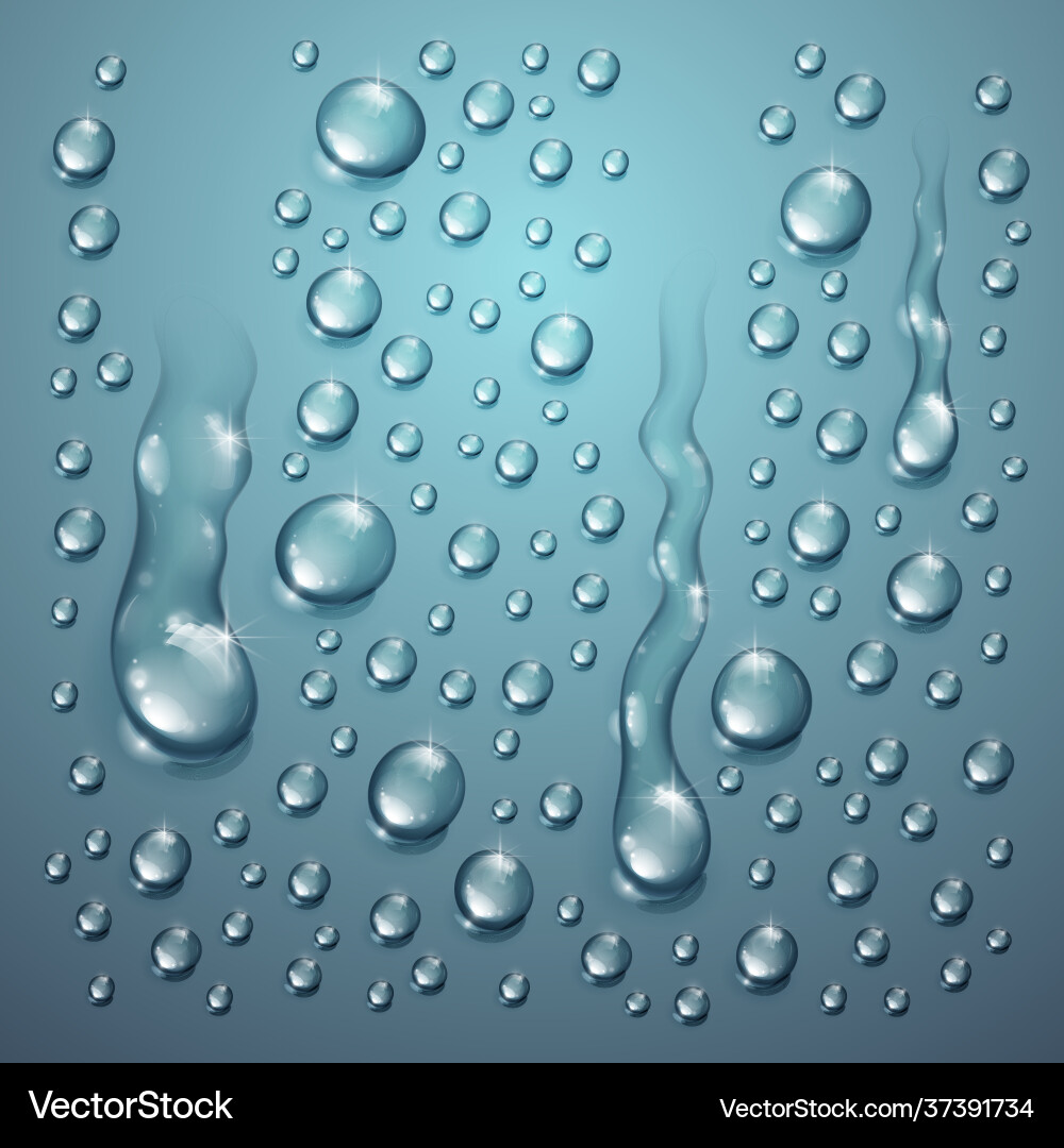 Water drops in shower or pool condensate rain Vector Image