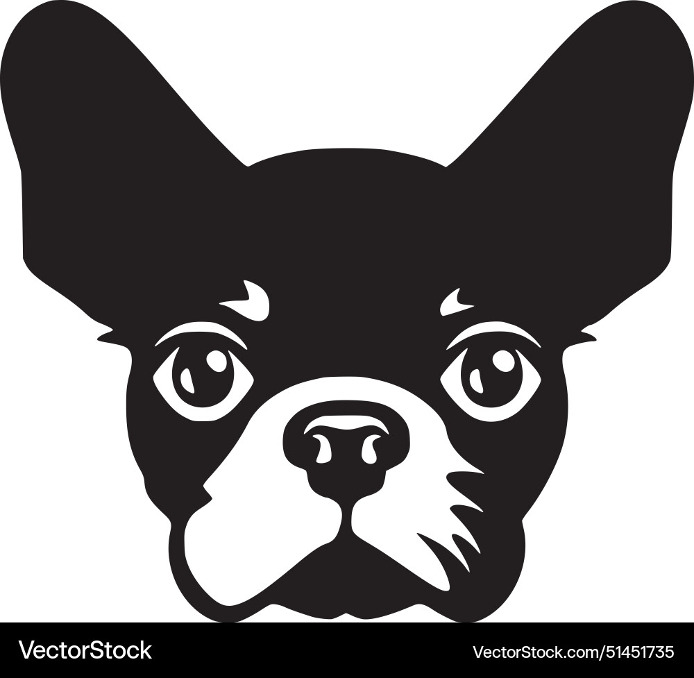 Boston terrier - minimalist and flat logo Vector Image