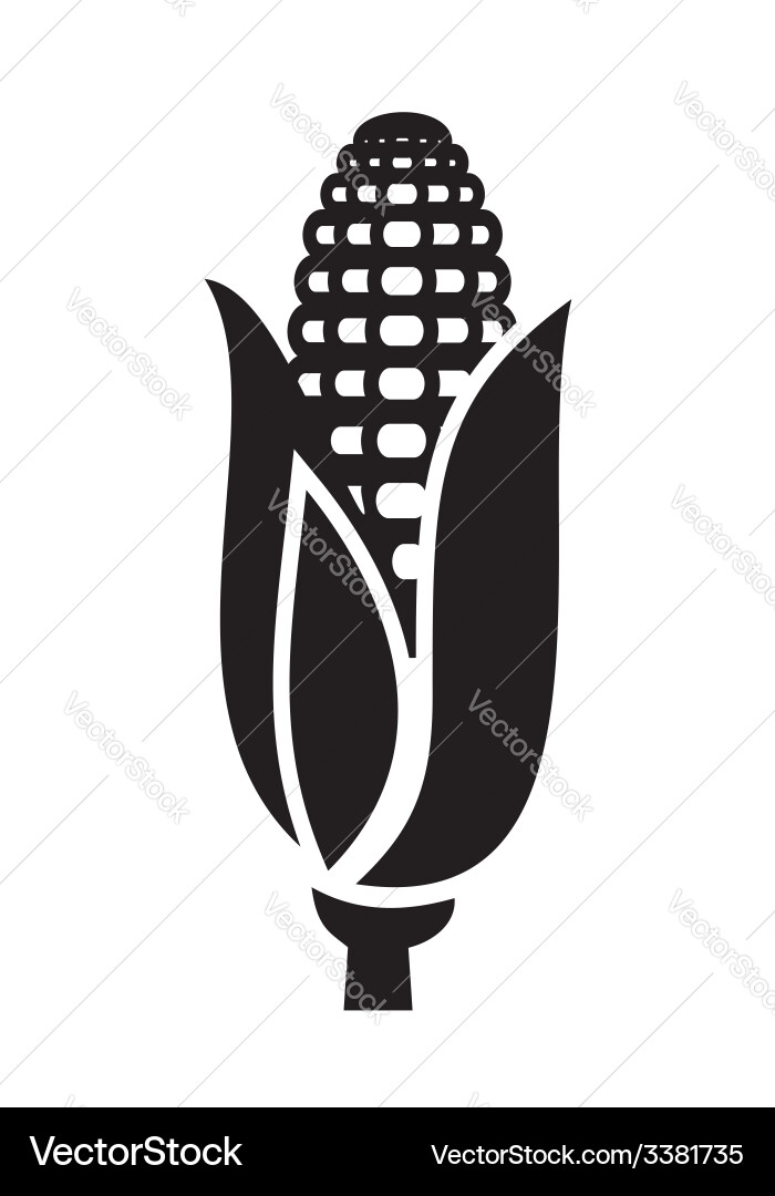 Maize Vector Images (over 13,000)